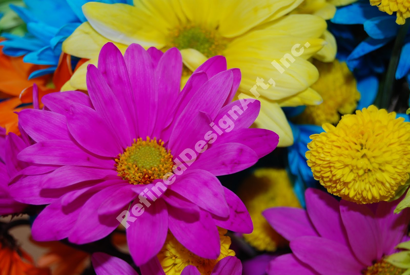 RefinedDesignArt: Flowers... Multi Colored