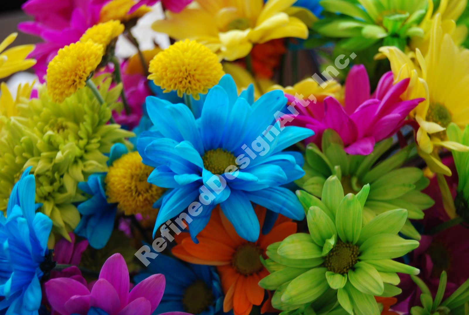 RefinedDesignArt: Flowers... Multi Colored