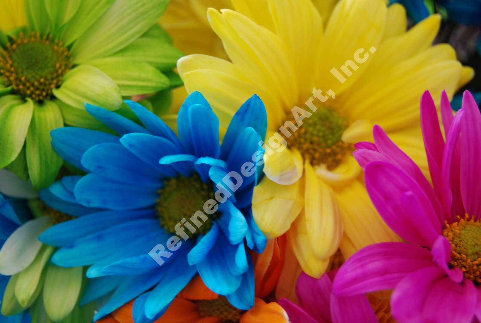RefinedDesignArt: Flowers... Multi Colored
