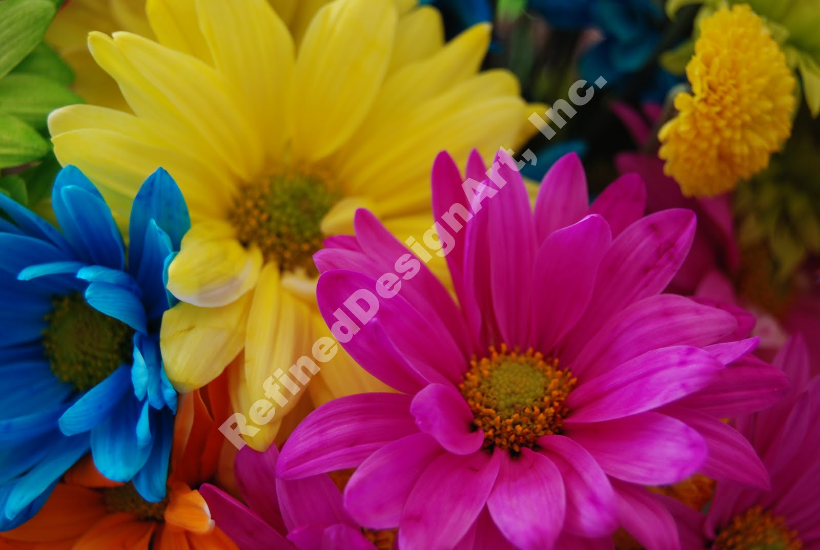 RefinedDesignArt: Flowers... Multi Colored