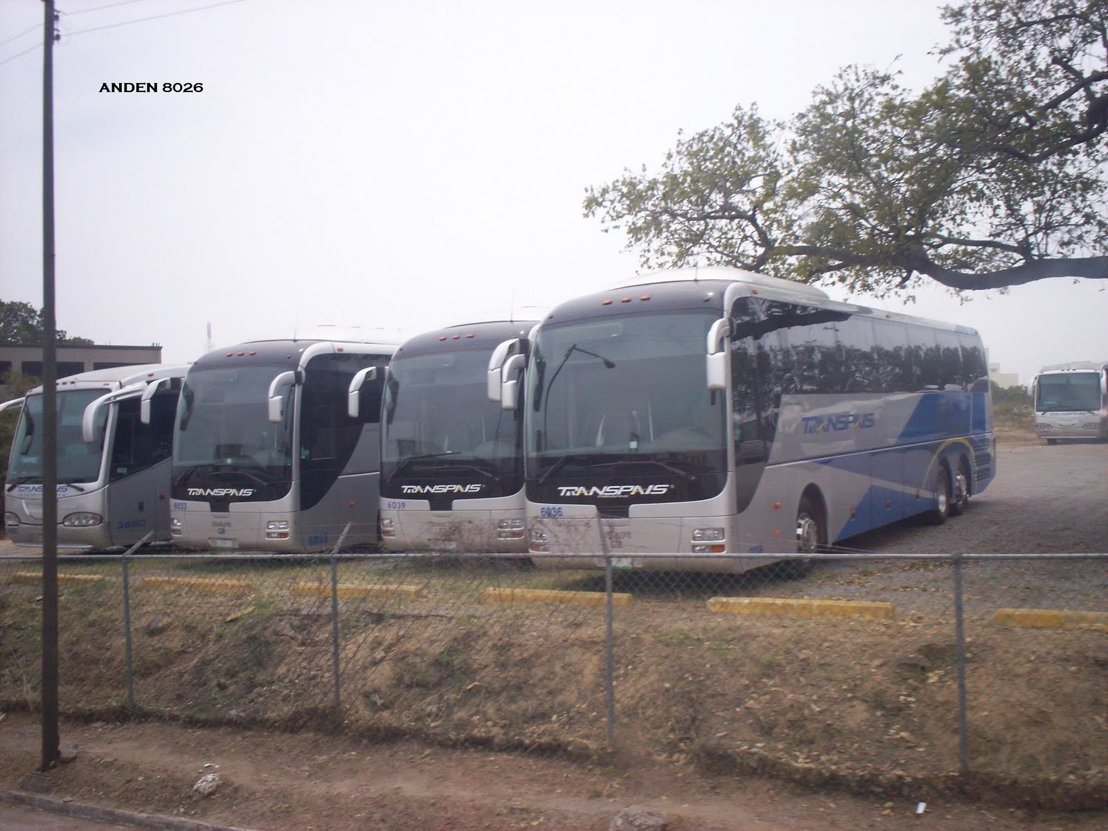 ANDEN 8026 EL LADO AMABLE DEL AUTOBUS: 1000 TRANSPAIS AUTOTRANSPORTES