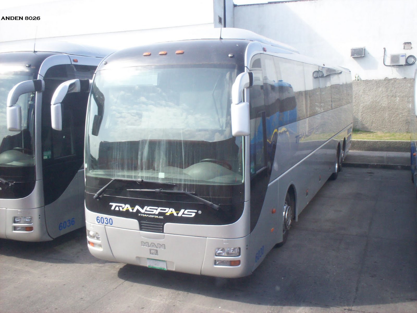 ANDEN 8026 EL LADO AMABLE DEL AUTOBUS: 1000 TRANSPAIS AUTOTRANSPORTES