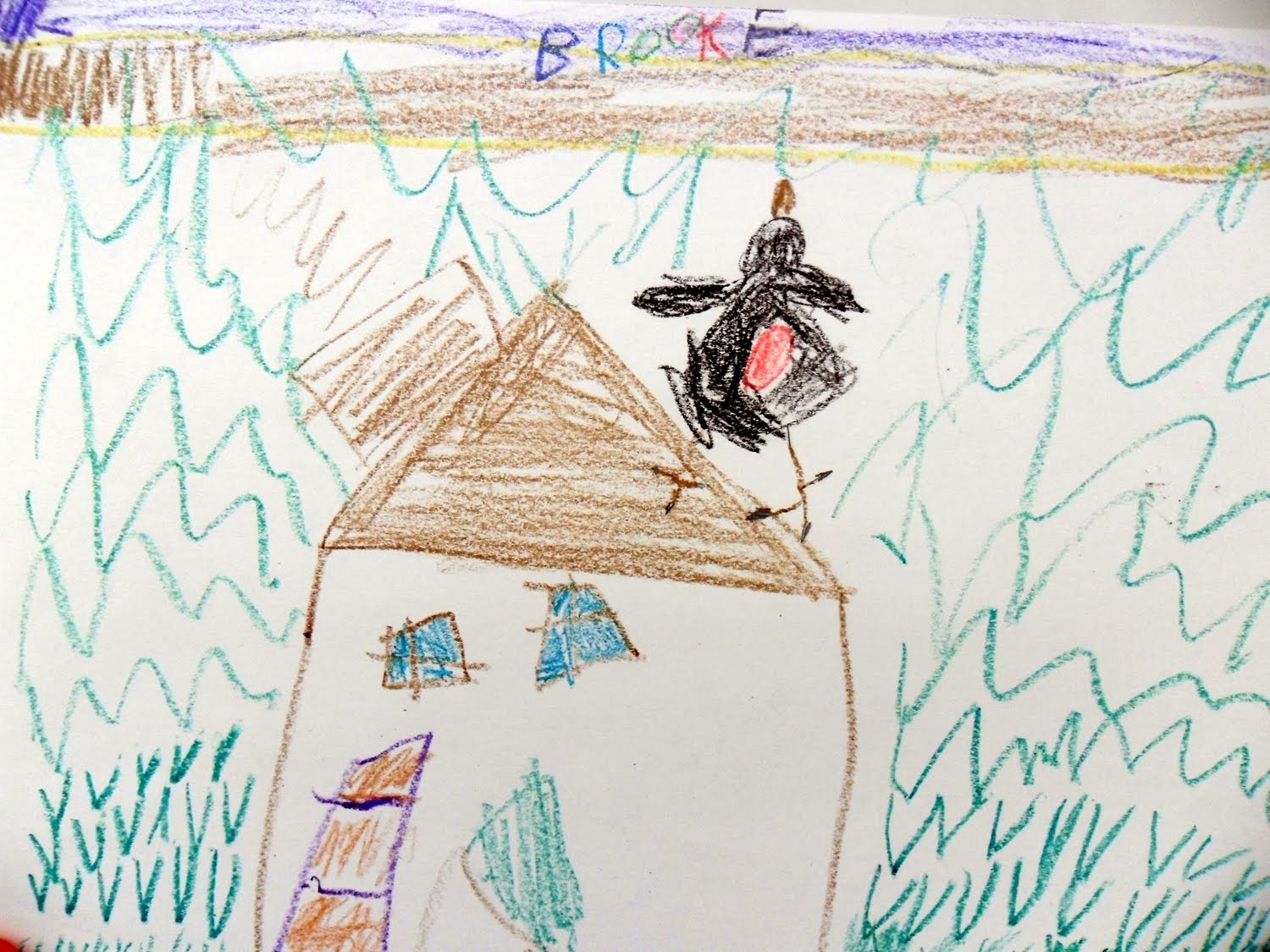 Art with Mrs. Parks: Kindergarten Animal Drawings