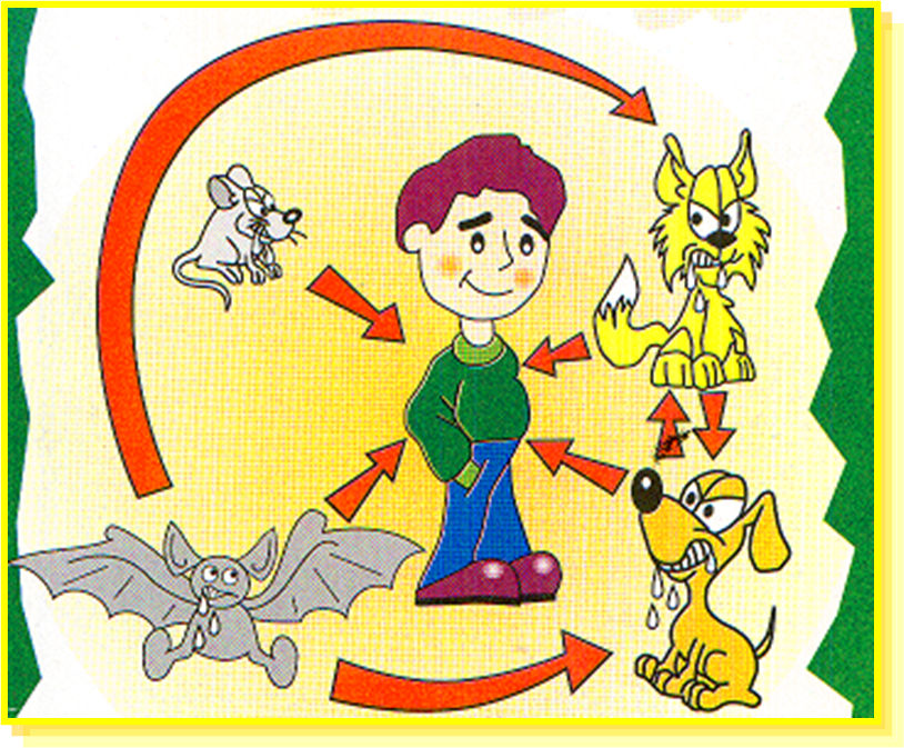 El Misterio de la Vida: RABIA HUMANA