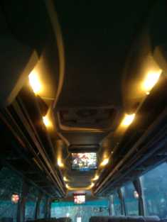 BUS PARIWISATA DBL TRANSPORT DHARMA BUDHI LESTARI: Armada Kami