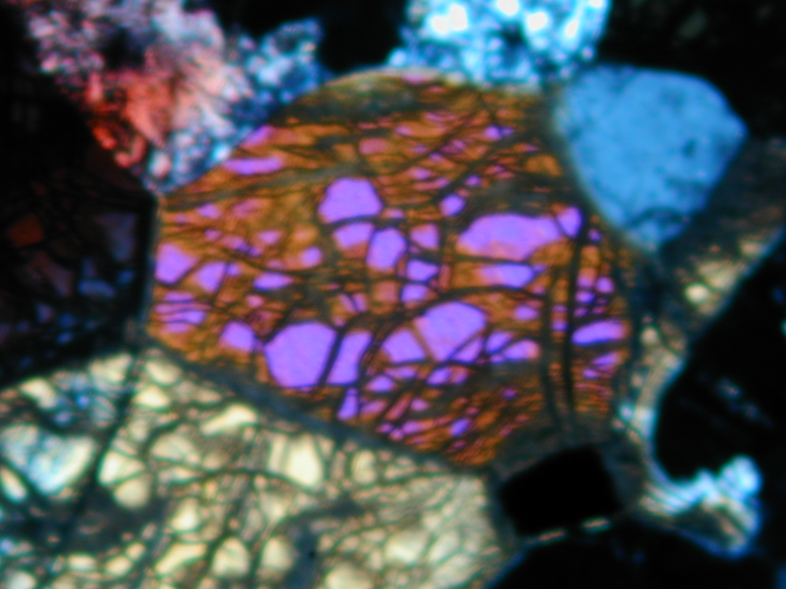 A MASSAGE WARNING // ELIZA KOCH: Coesite eclogites from South African ...