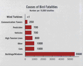 Emily's Energy and the Environment Blog: Are birds and marine life ...