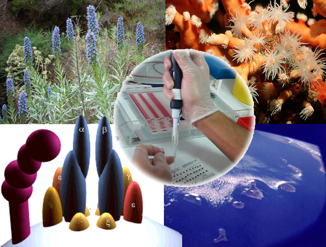 la biotecnologia: la biotecnologia concepto y inicios