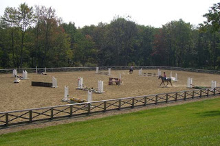 Stable Spotlight: Grand Central Stables | Five O'Clock Somewhere