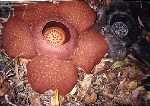 The Beautiful Tourist Spots in the Philippines: Antique