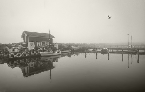 Konsten att stjäla ett ögonblick: Fotograf: Marcus Claesson