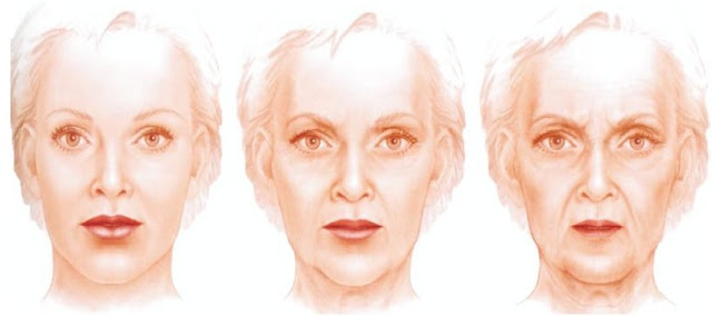 Clínica Plenna Cirurgia Plástica - Florianópolis: Lipoaspiração de ...