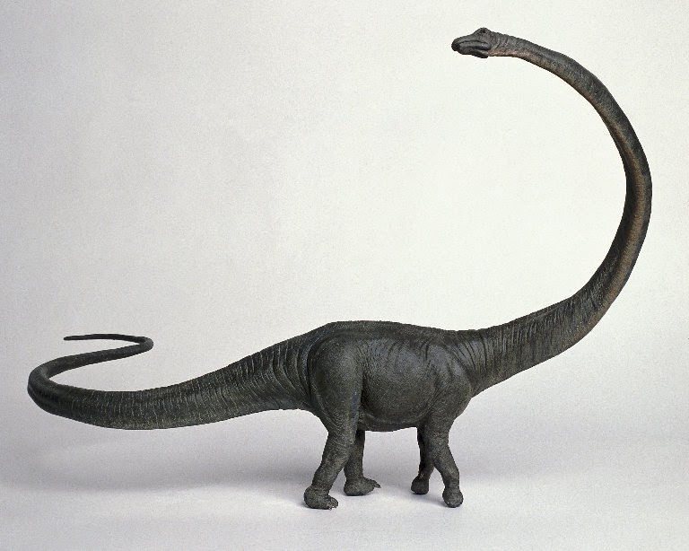 Los Dinosaurios (Andrés Cortese): Barosaurus