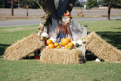 Shine Like Stars: A Scarecrow in a Melon Patch