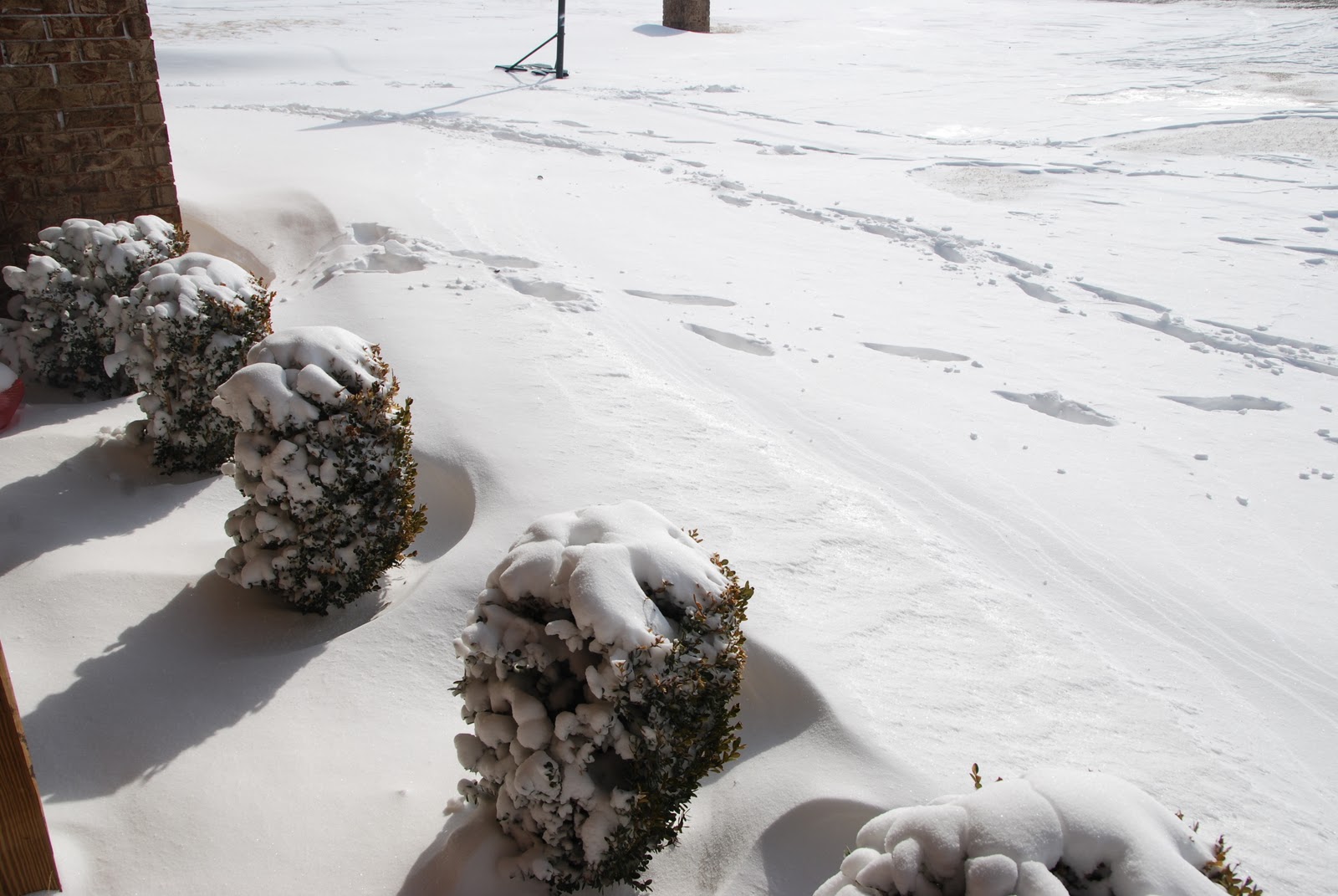 Shine Like Stars: February 2011