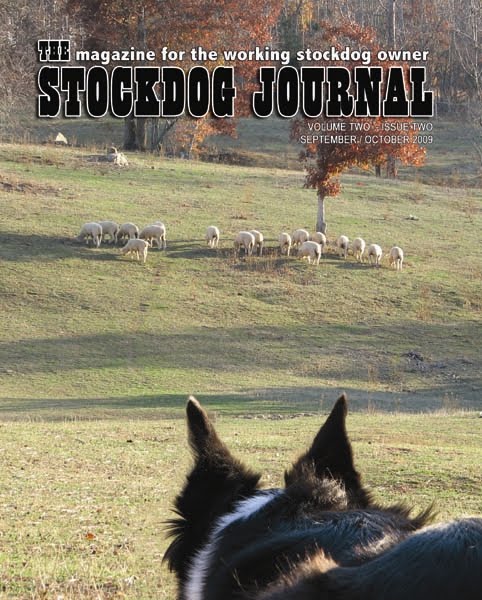 Shoofly Farm/Dogs | Shooflydogs Blog