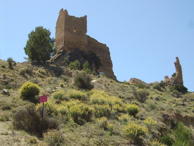 FOTOS ACTUALES DE RELLEU ~ Alicante Vivo