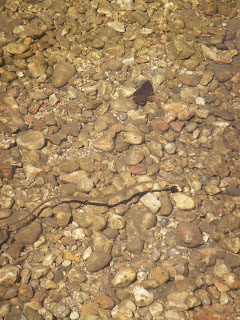 Odysseys, Oddities and Orations: A quick trip to Clints Well, Arizona