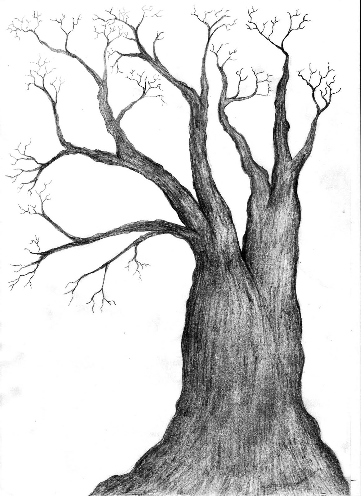 OFF THE RAILS: Tree Drawing Competition, 2010