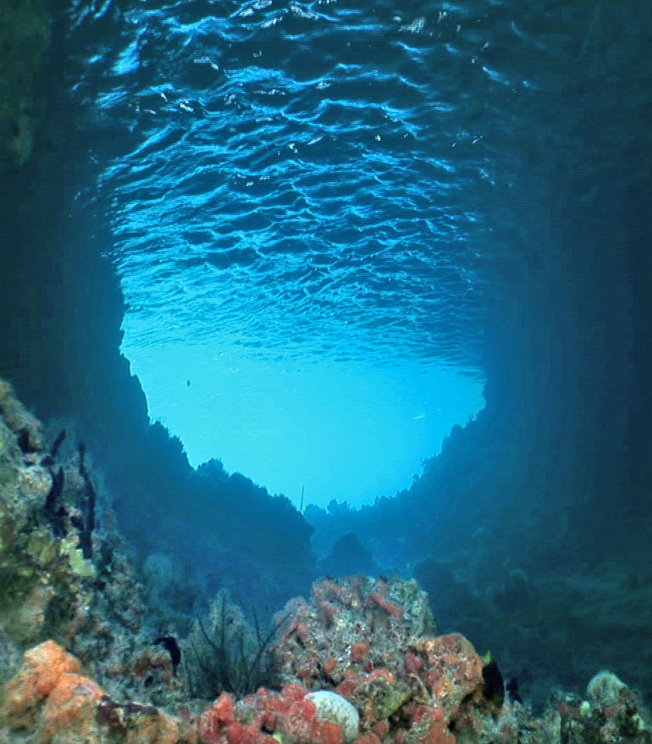 Undersea Meander