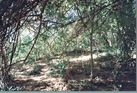 Eos Real Estate Puerto Vallarta