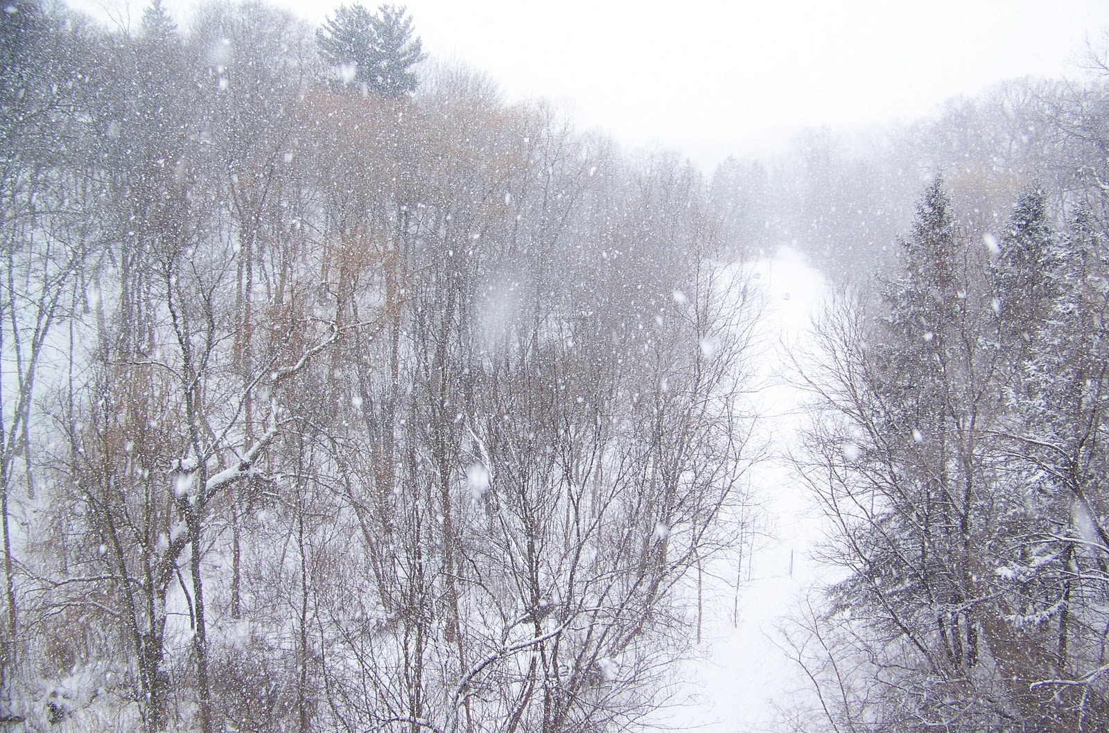 The Little Red Umbrella: SNOwMG! A Snow Day, in Pictures by Laurie McGregor