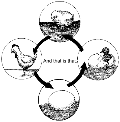 What came first the chicken or the egg?: If the chicken came from the ...