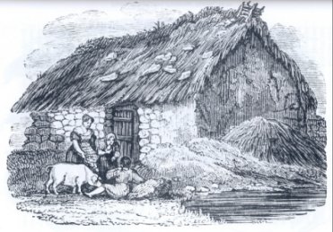 French Vocabulary Illustrated: masure