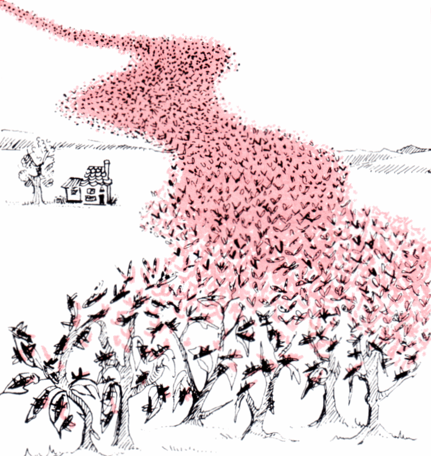 French Vocabulary Illustrated: grouiller