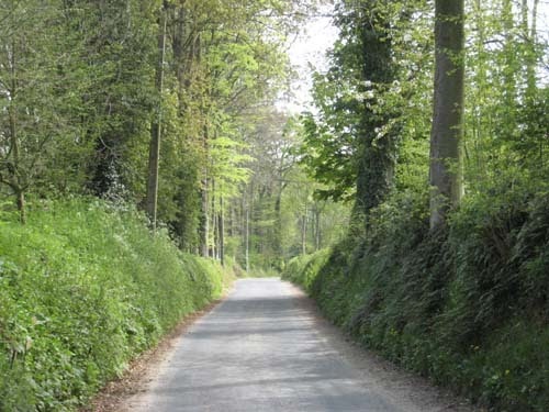 French Vocabulary Illustrated: talus