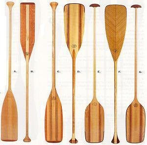 French Vocabulary Illustrated: aviron