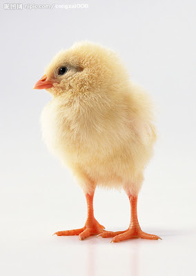 Escalofriorgasmicosmicuántico: enero 2011