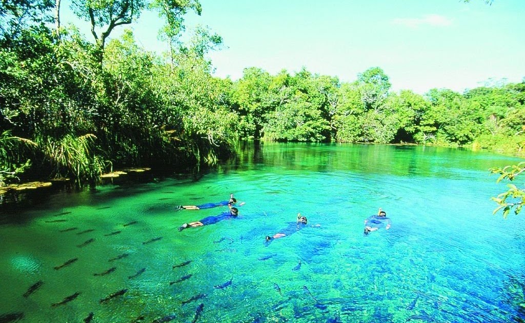 Turismo No Mundo Pantanal Matogrossense
