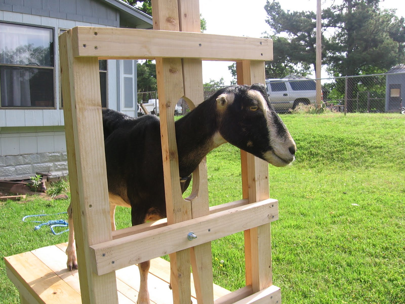 Shiloh & Sanity: Milk Stand