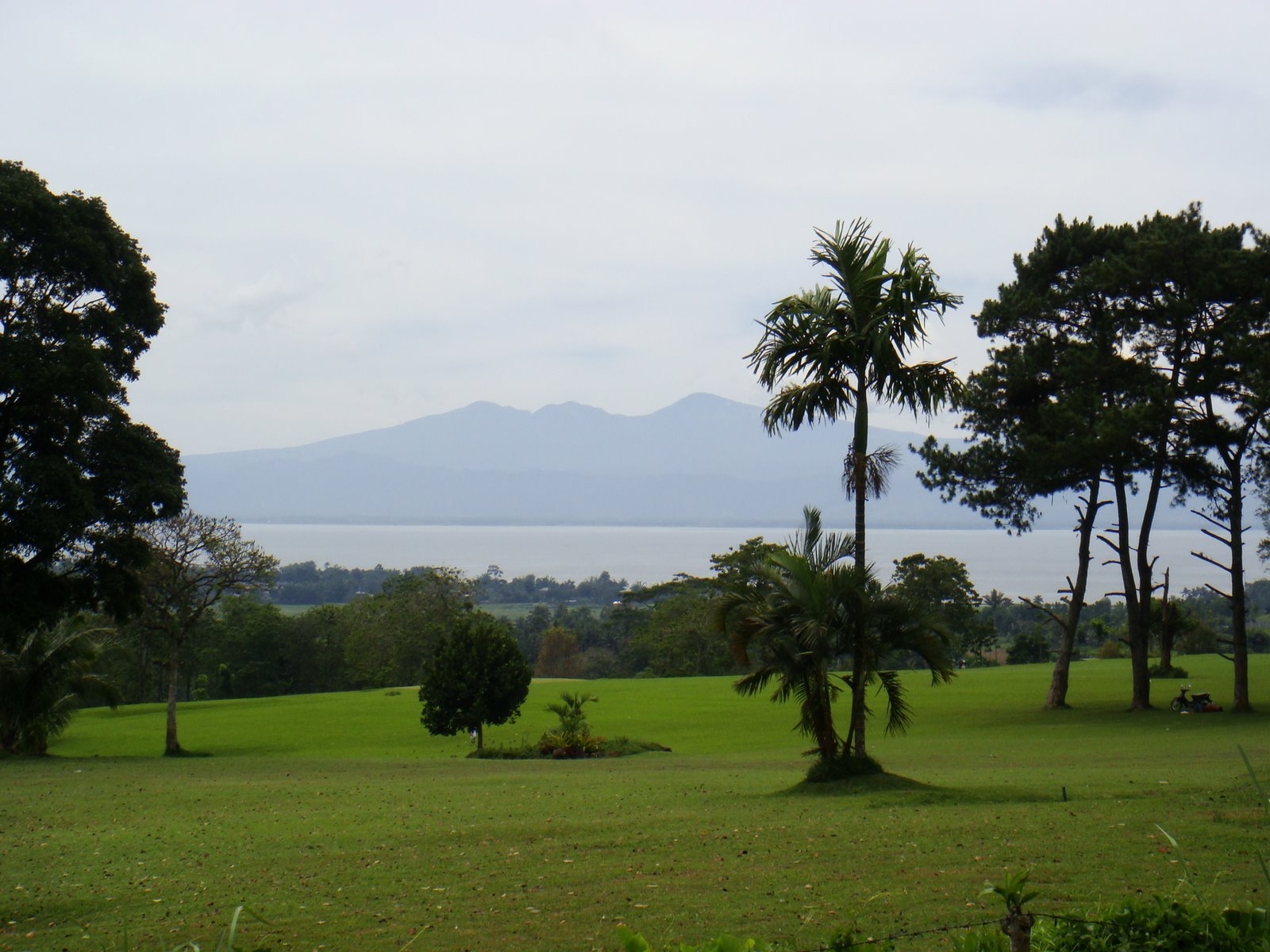 Smile-ling : MSU Golf Course