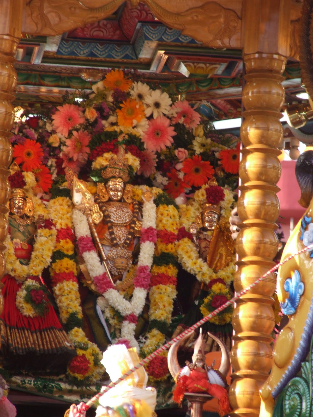Passion Parade: A Charming Aadi Vel Cart Parade in Colombo