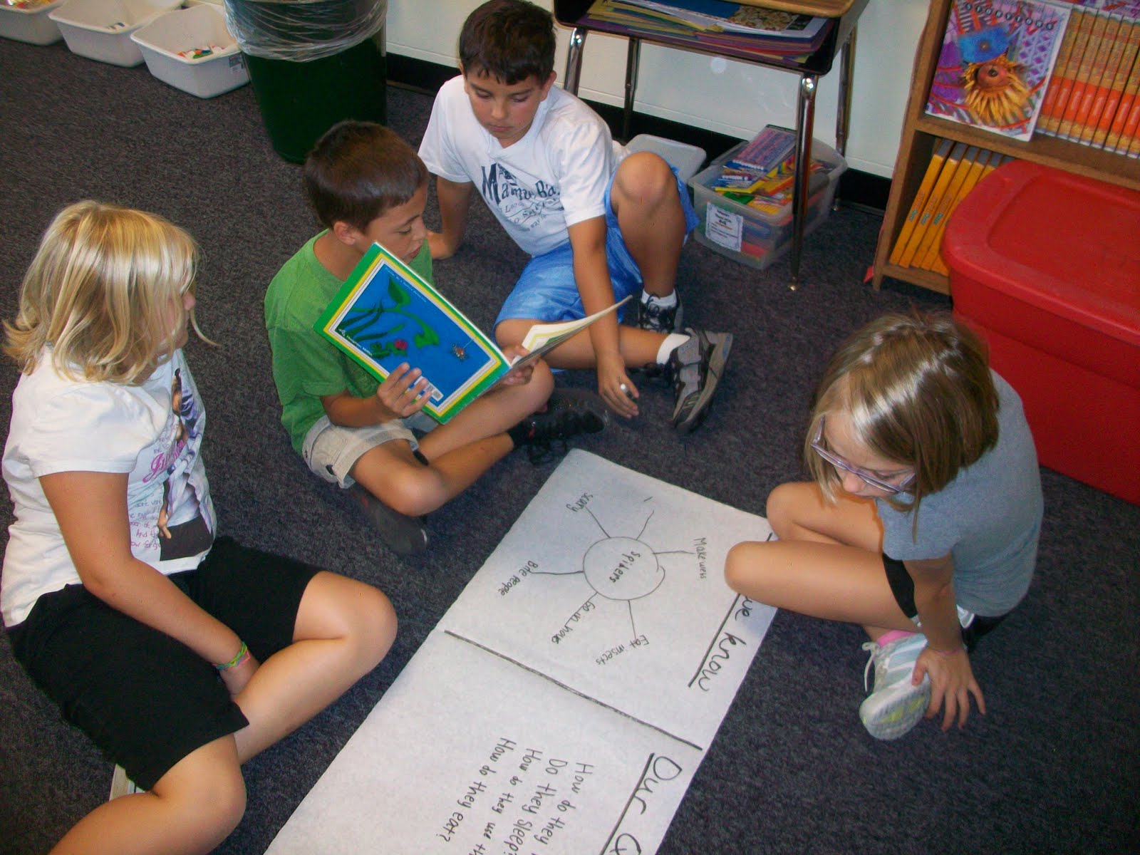 Mrs. Garman's Classroom: Creepy Crawly Spiders