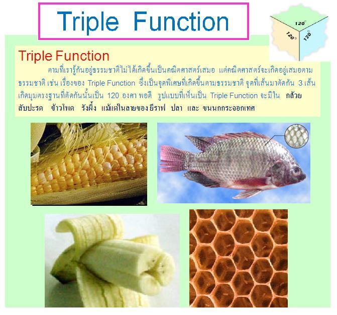 การสอนคณิตศาสตร์ผ่านธรรมชาติ