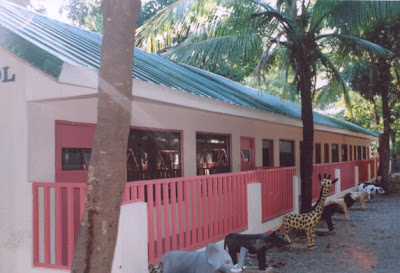 Tayug Pangasinan