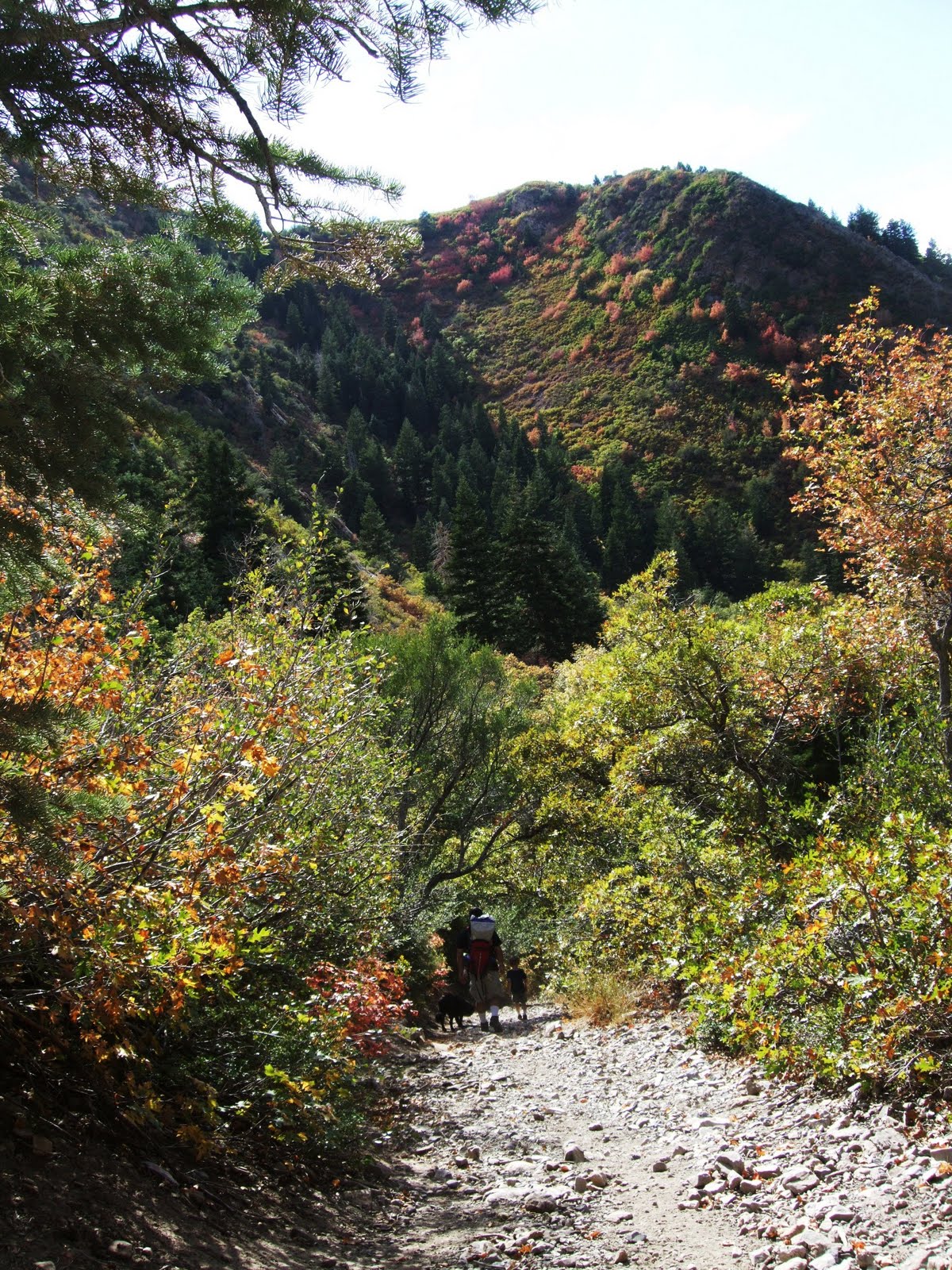 It's the Journey...: Neffs Canyon