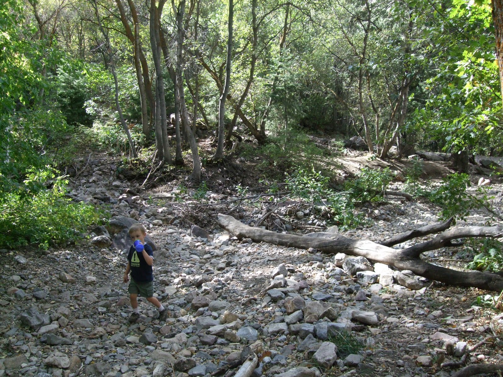 It's the Journey...: Neffs Canyon
