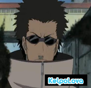 Anime Hot Wallpaper: Aburame Shibi Profile