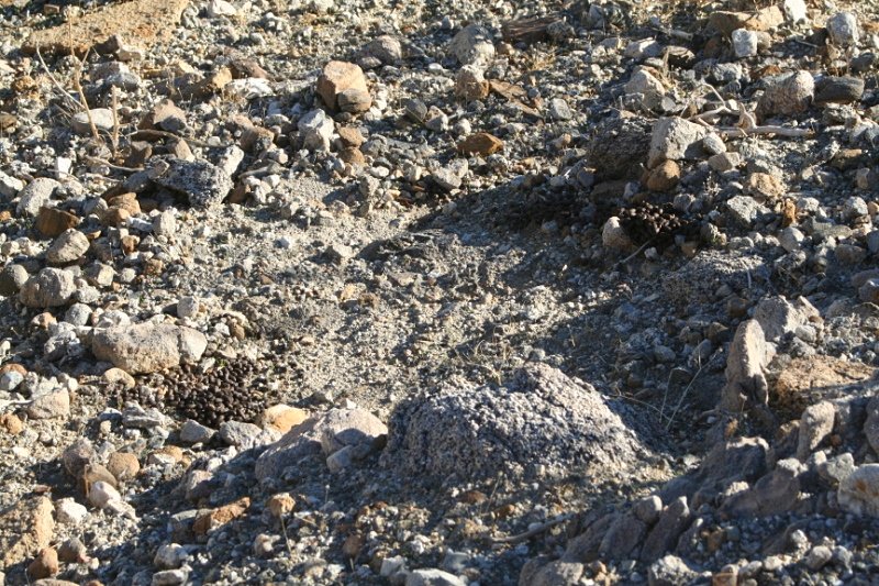 Daren Sefcik: Smoke Tree Canyon / Calcite Mine Area ABDSP