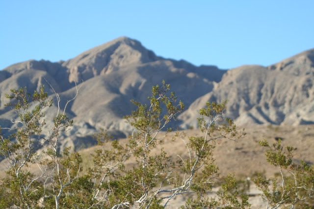 Daren Sefcik: Smoke Tree Canyon / Calcite Mine Area ABDSP