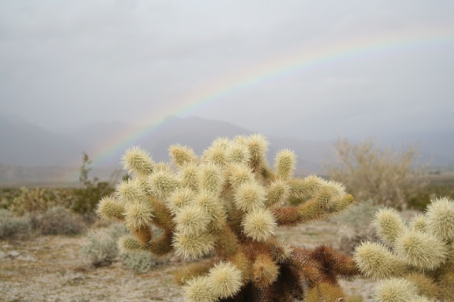 Daren Sefcik: Smoke Tree Canyon / Calcite Mine Area ABDSP