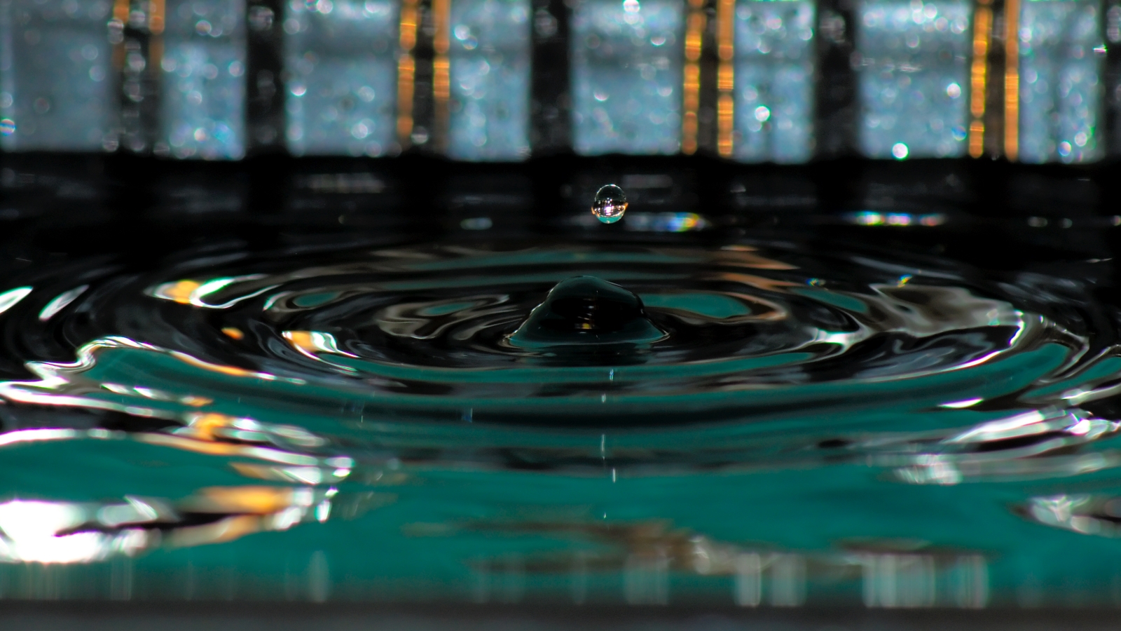 Daren Sefcik: January 2011