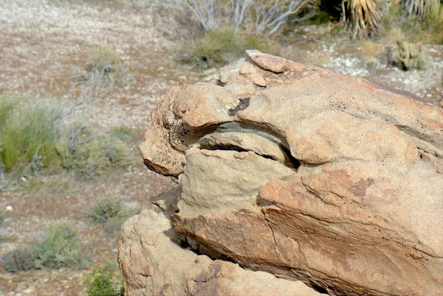 Daren Sefcik: Jacumba Mountains