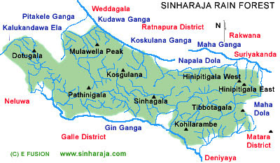 SINHARAJA