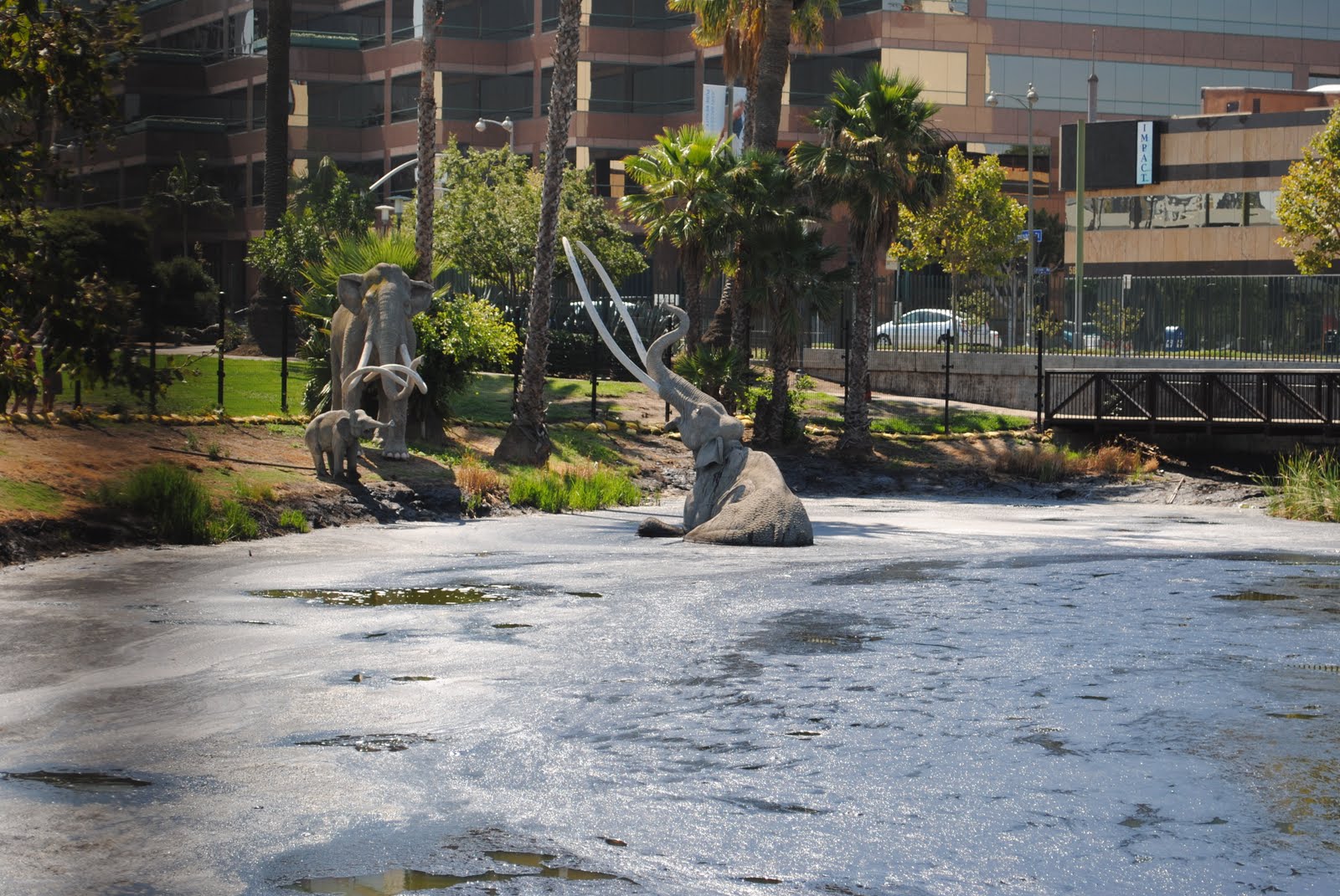 The Boatwright Family: The La Brea Tar Pits