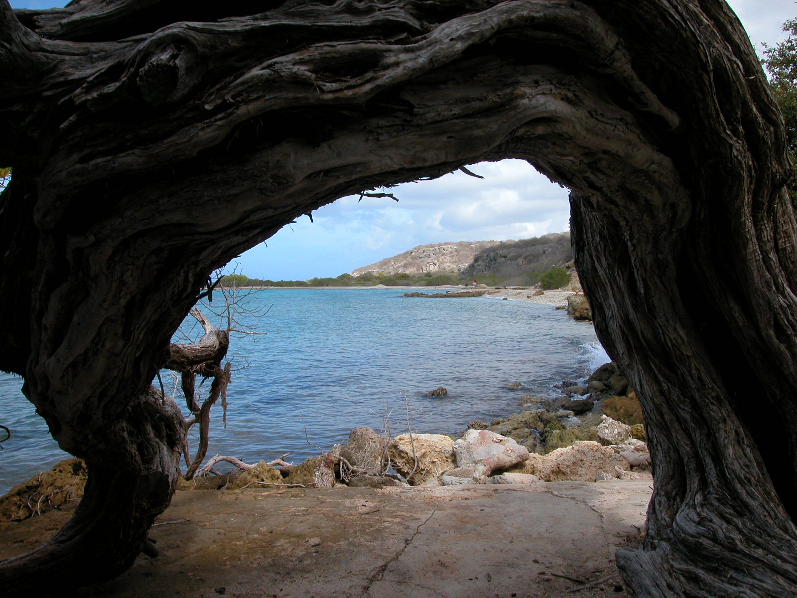 unique creations, beautiful creation, nature conservation, divine ...